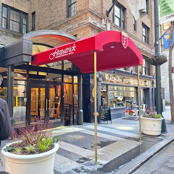 Canopies in New York City